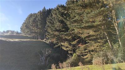 Awakino River Partnership 16 | Greenplan